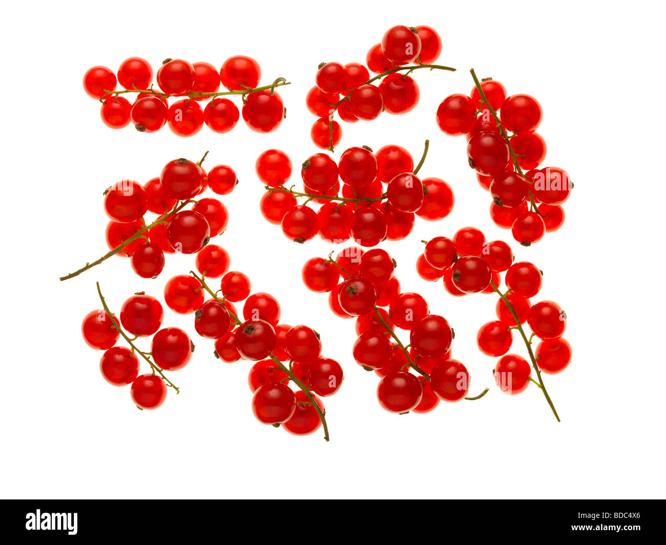 Rote johannisbeeren -Fotos und -Bildmaterial in hoher Auflösung – Alamy