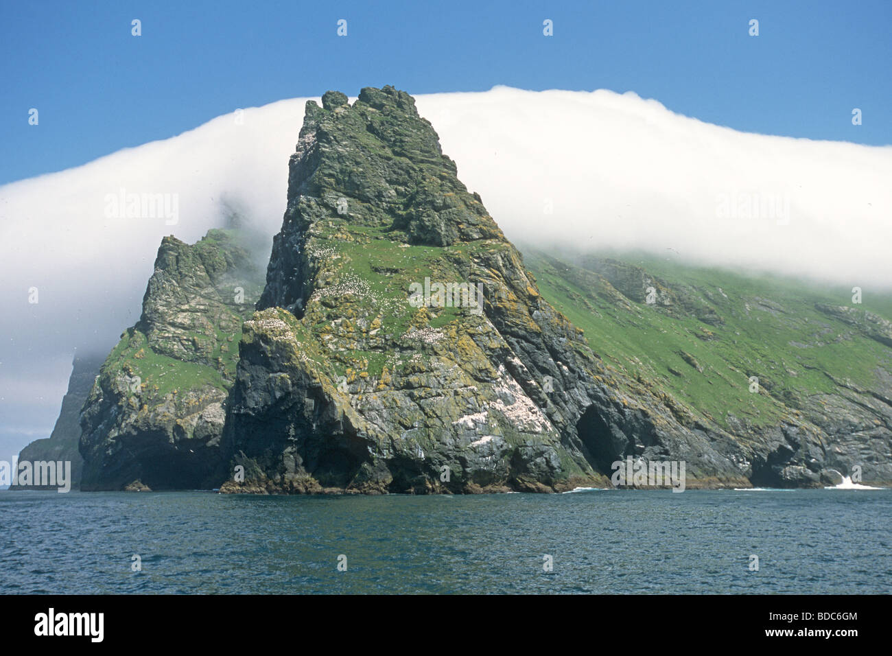 Insel Boreray im Saint Kilda Archipel Schottland Juli Stockfotografie - Alamy