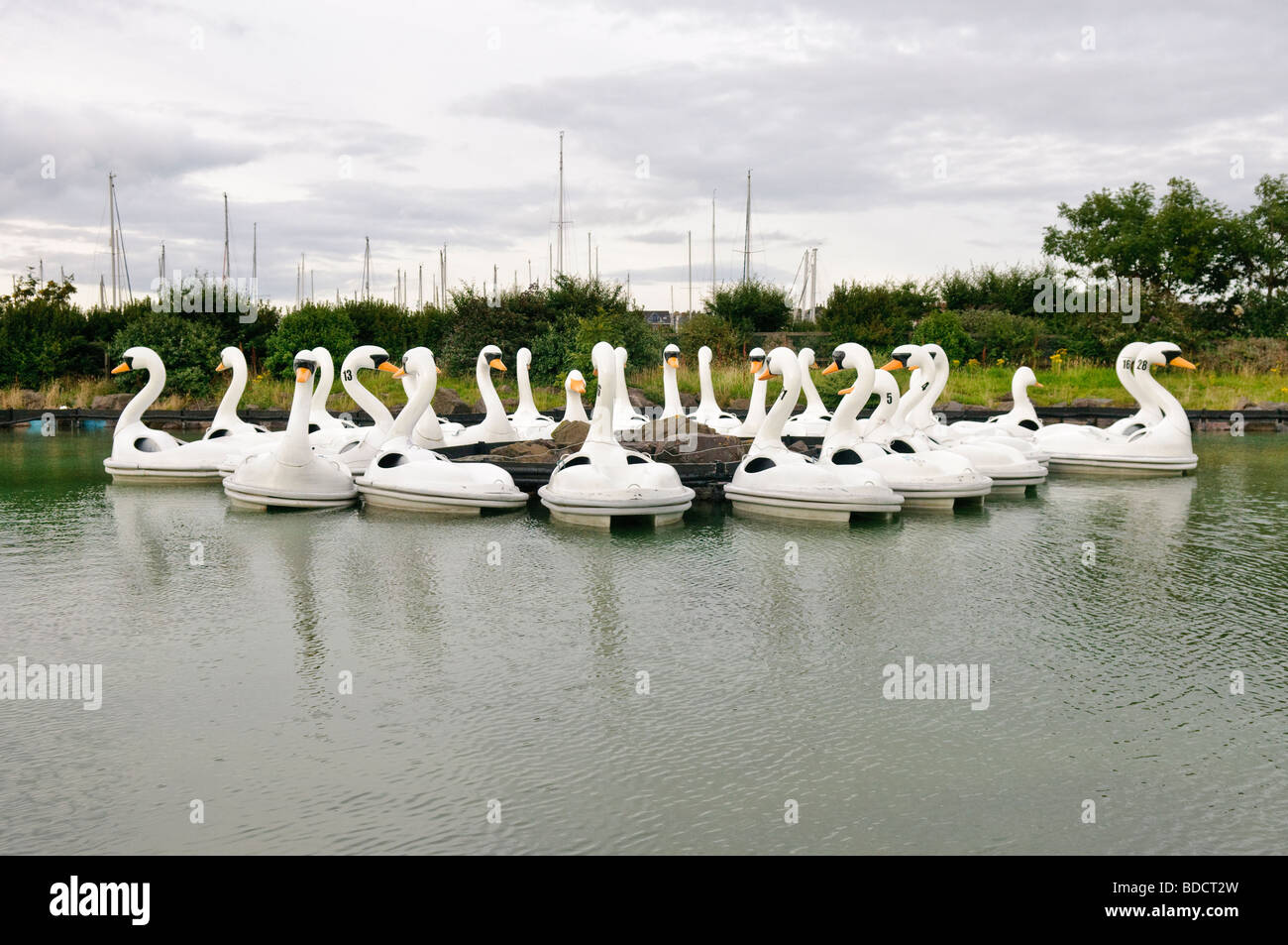 Tretboot schwan -Fotos und -Bildmaterial in hoher Auflösung – Alamy