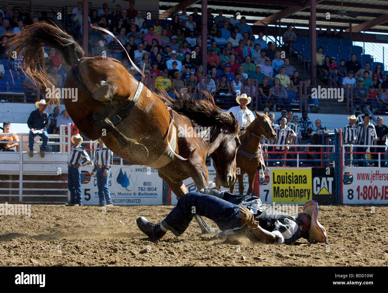 Estadio de rodeo -Fotos und -Bildmaterial in hoher Auflösung – Alamy