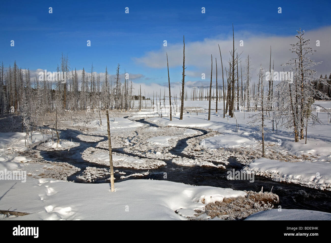 Tangle creek im winter -Fotos und -Bildmaterial in hoher Auflösung – Alamy