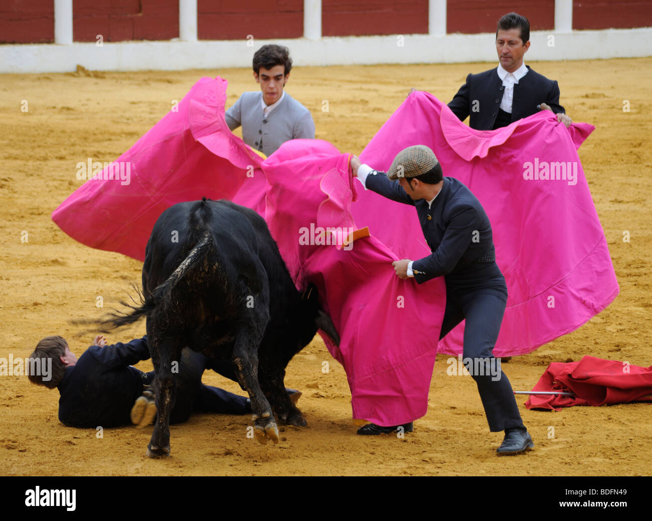 Young toreador -Fotos und -Bildmaterial in hoher Auflösung – Alamy