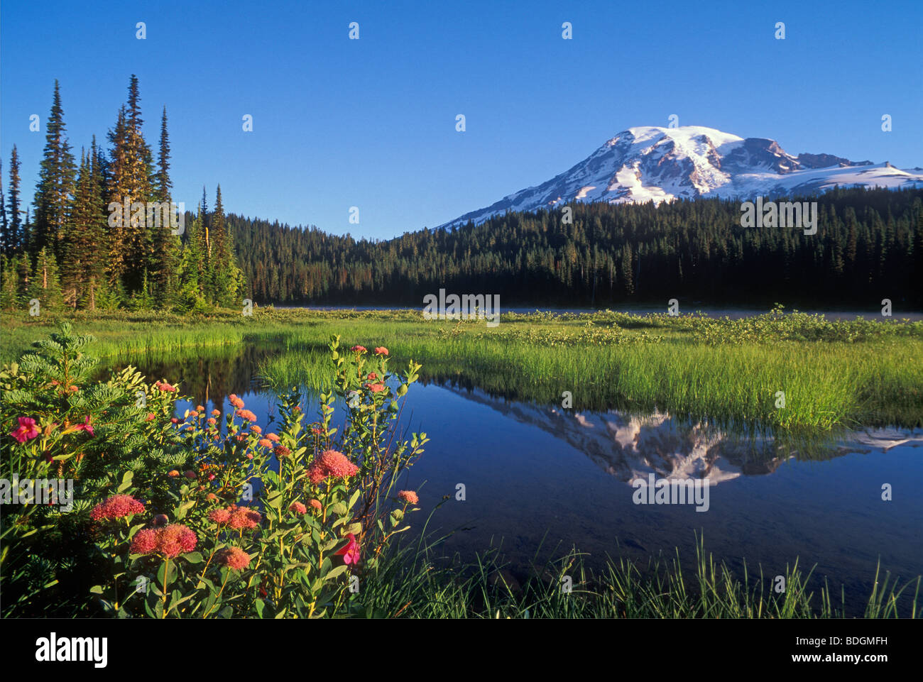 Mount Rainier und Spiegelung See; Mount Rainier Nationalpark ...