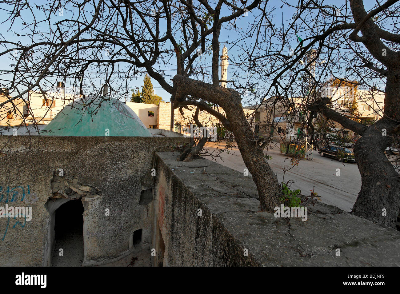 Timnath heres -Fotos und -Bildmaterial in hoher Auflösung – Alamy