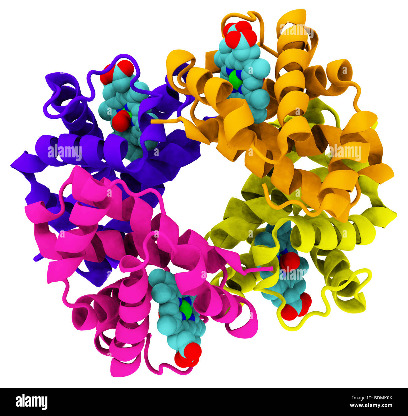 Hemoglobin molecule -Fotos und -Bildmaterial in hoher Auflösung – Alamy