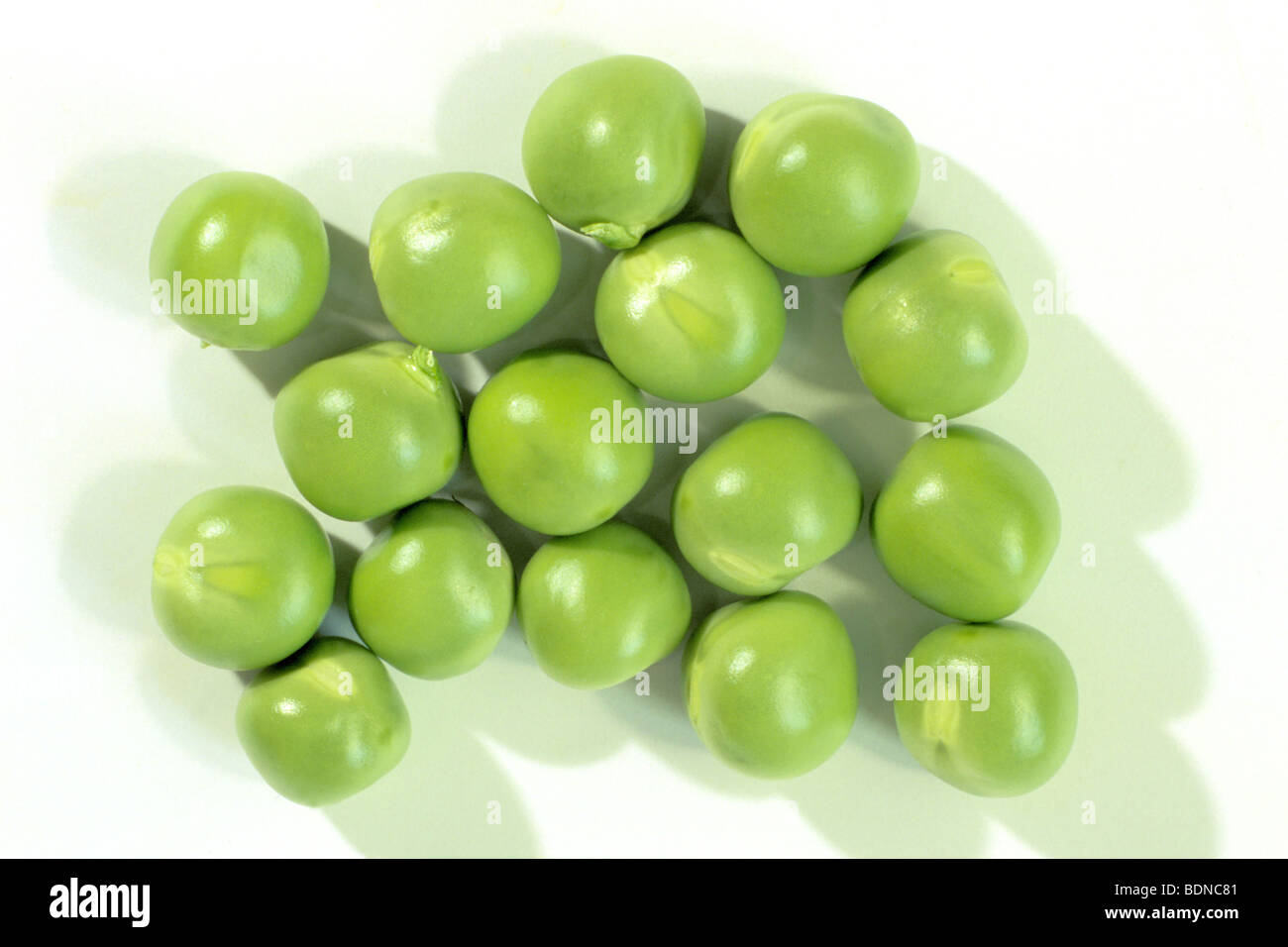 Garten Sie-Erbse, Erbse (Pisum Sativum), Erbsen, Studio Bild ...