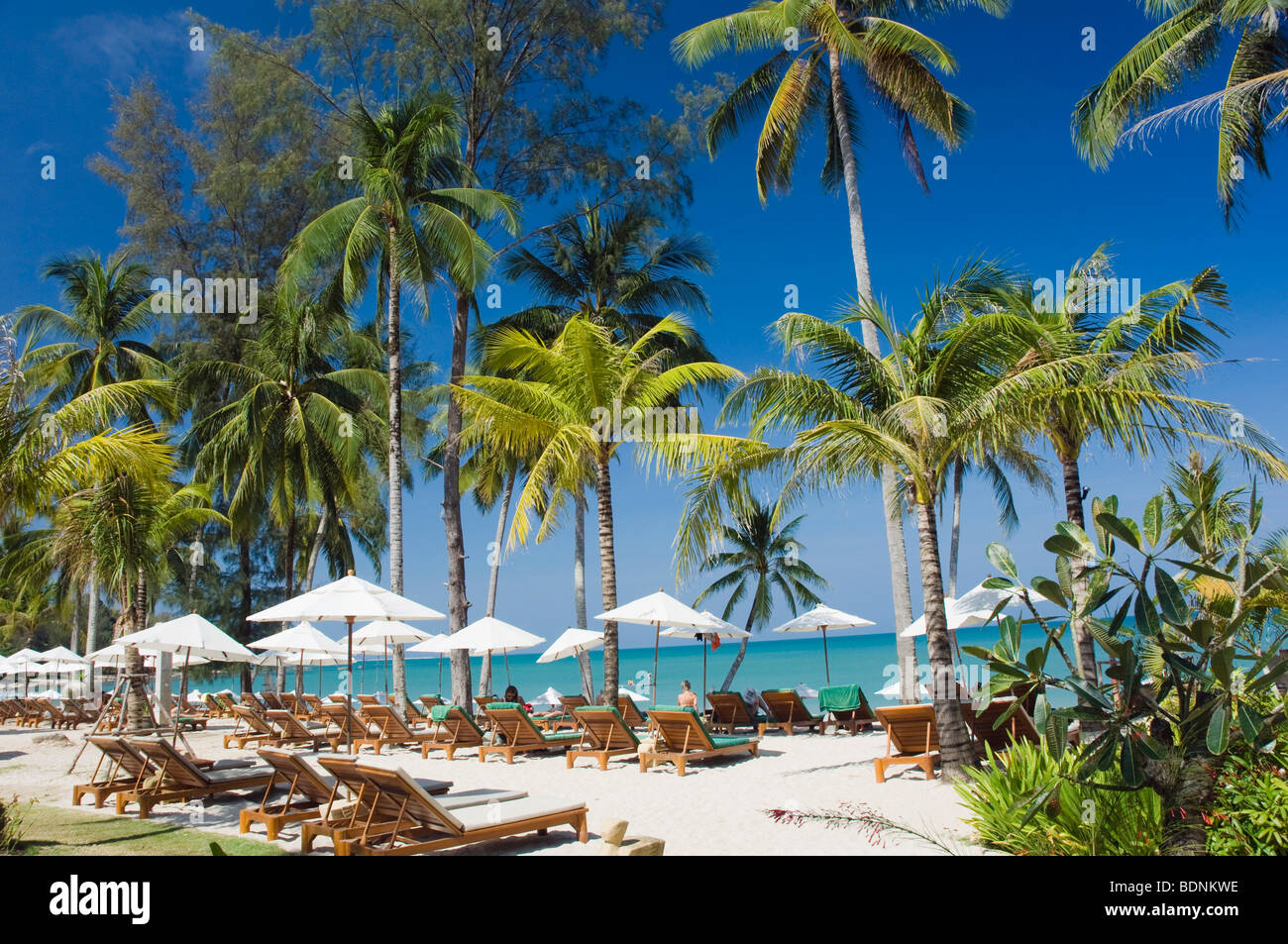 Strand mit Palmen, Le Meridien Resort, Pak Weeb Beach, Khao Lak ...