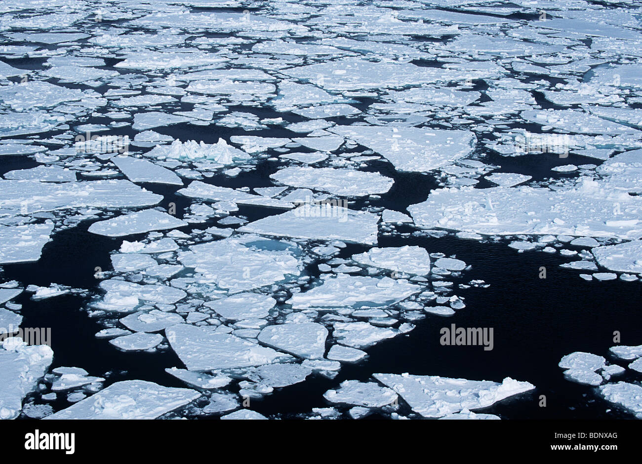 Eine eisscholle -Fotos und -Bildmaterial in hoher Auflösung – Alamy