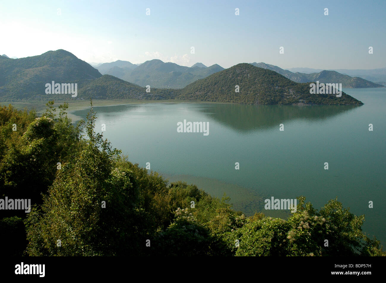 Skadarsko jezero -Fotos und -Bildmaterial in hoher Auflösung – Alamy