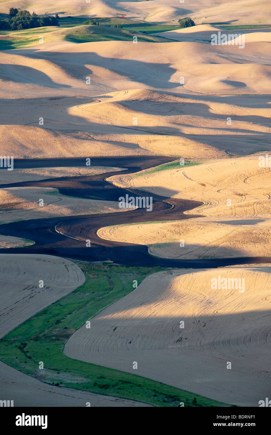 Palouse weizenfelder -Fotos und -Bildmaterial in hoher Auflösung – Alamy