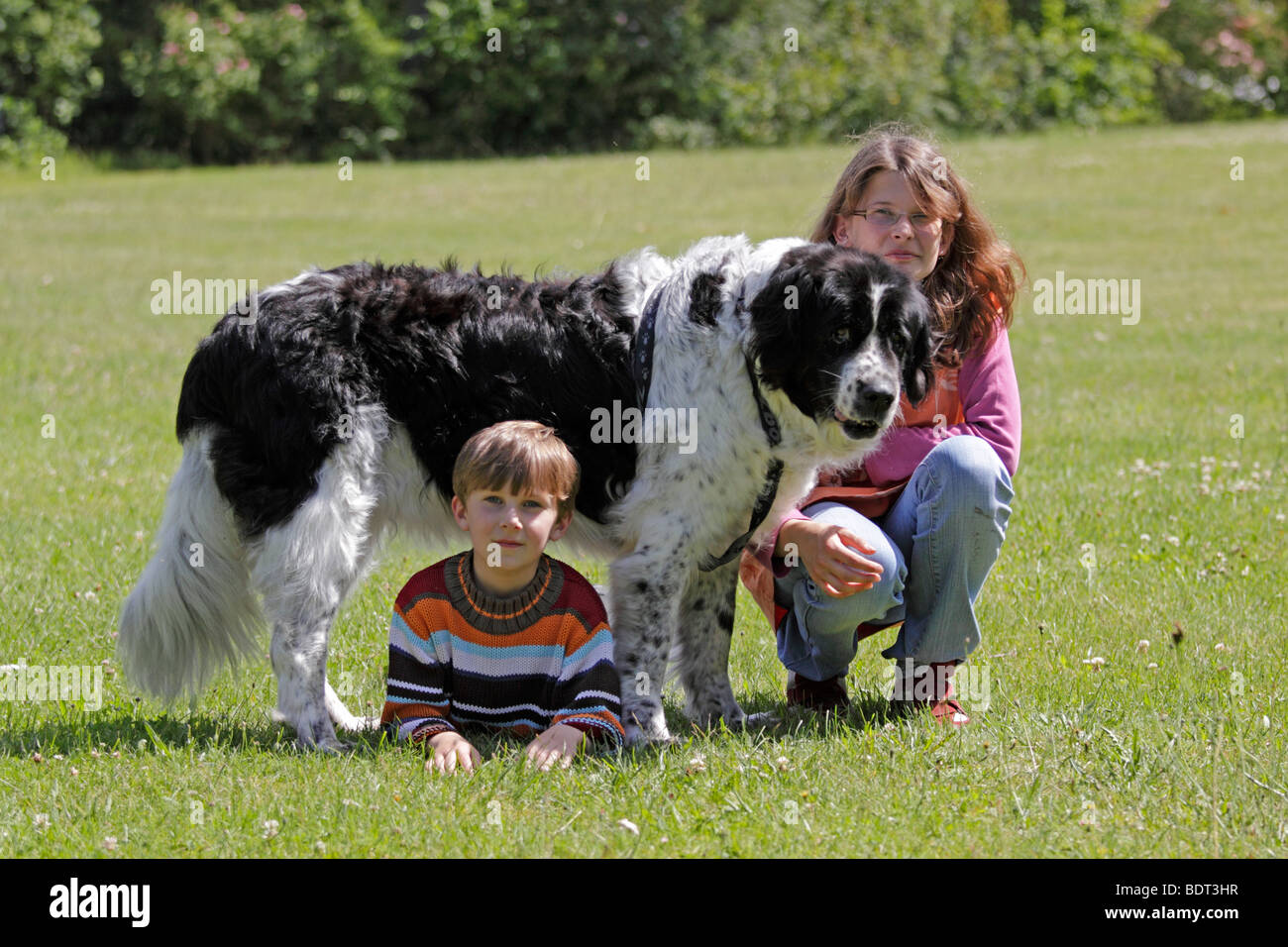 Familie mit 2 kindern und hund -Fotos und -Bildmaterial in hoher ...