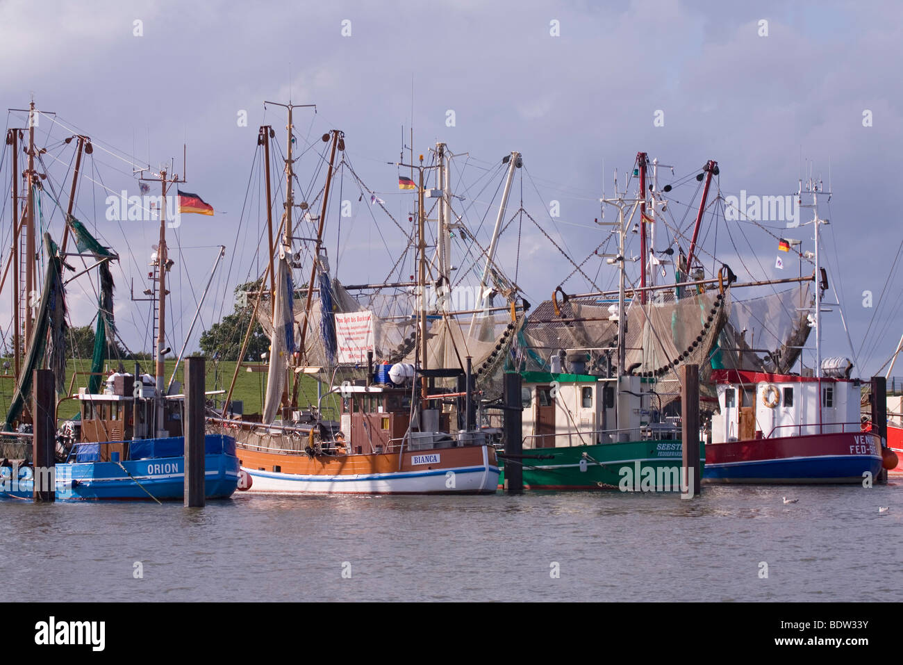 Butjadingen langwarden -Fotos und -Bildmaterial in hoher Auflösung – Alamy
