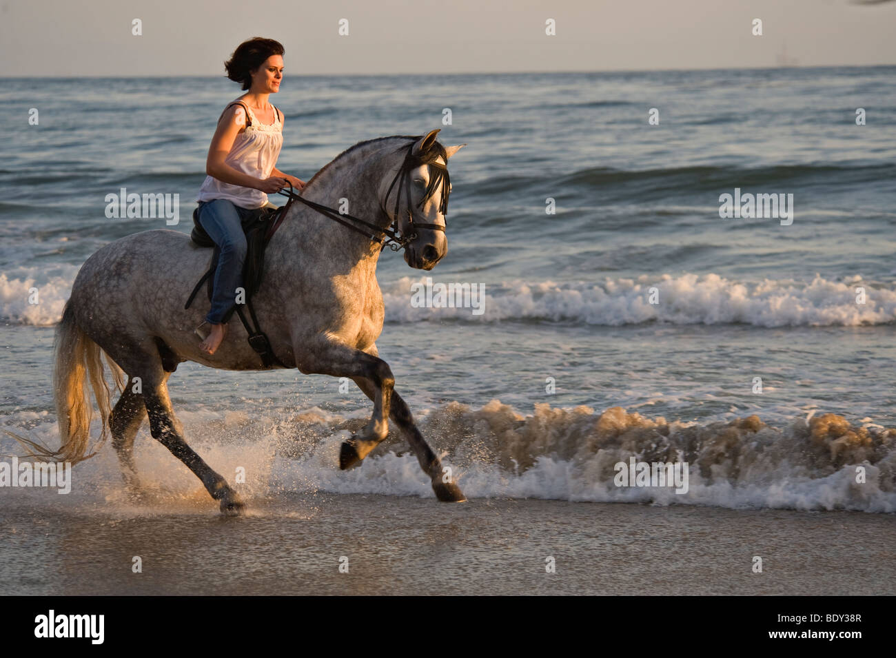 Fotos von frauen beim reiten -Fotos und -Bildmaterial in hoher ...