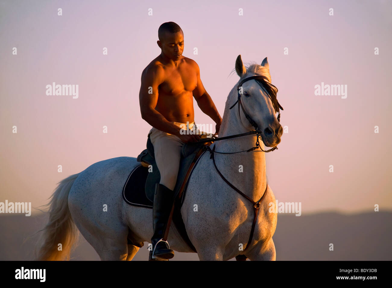 Muskulöser mann mit pferd -Fotos und -Bildmaterial in hoher Auflösung ...
