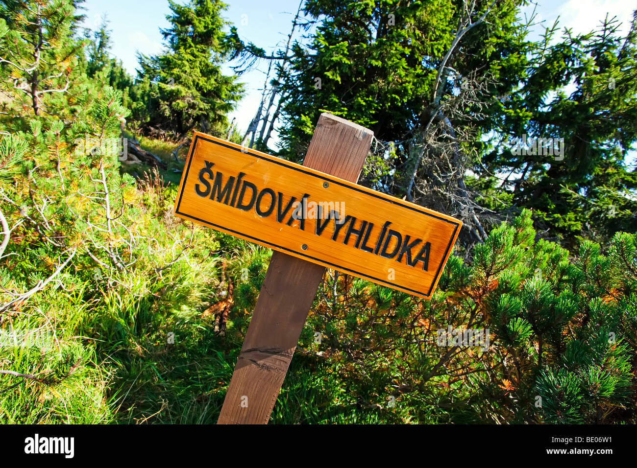 Schild wald -Fotos und -Bildmaterial in hoher Auflösung – Alamy