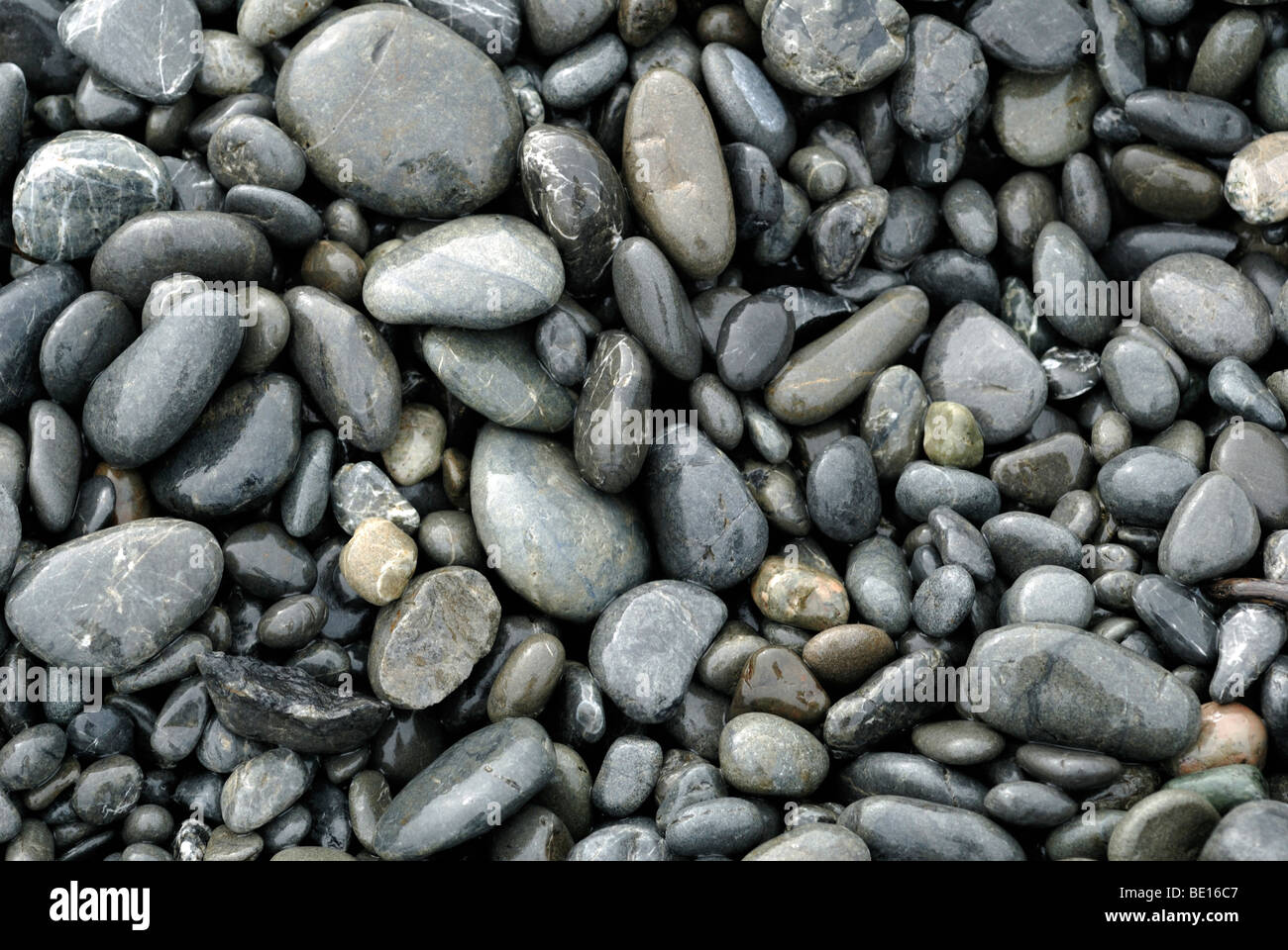 KIESELSTEINE AM STRAND Stockfotografie - Alamy