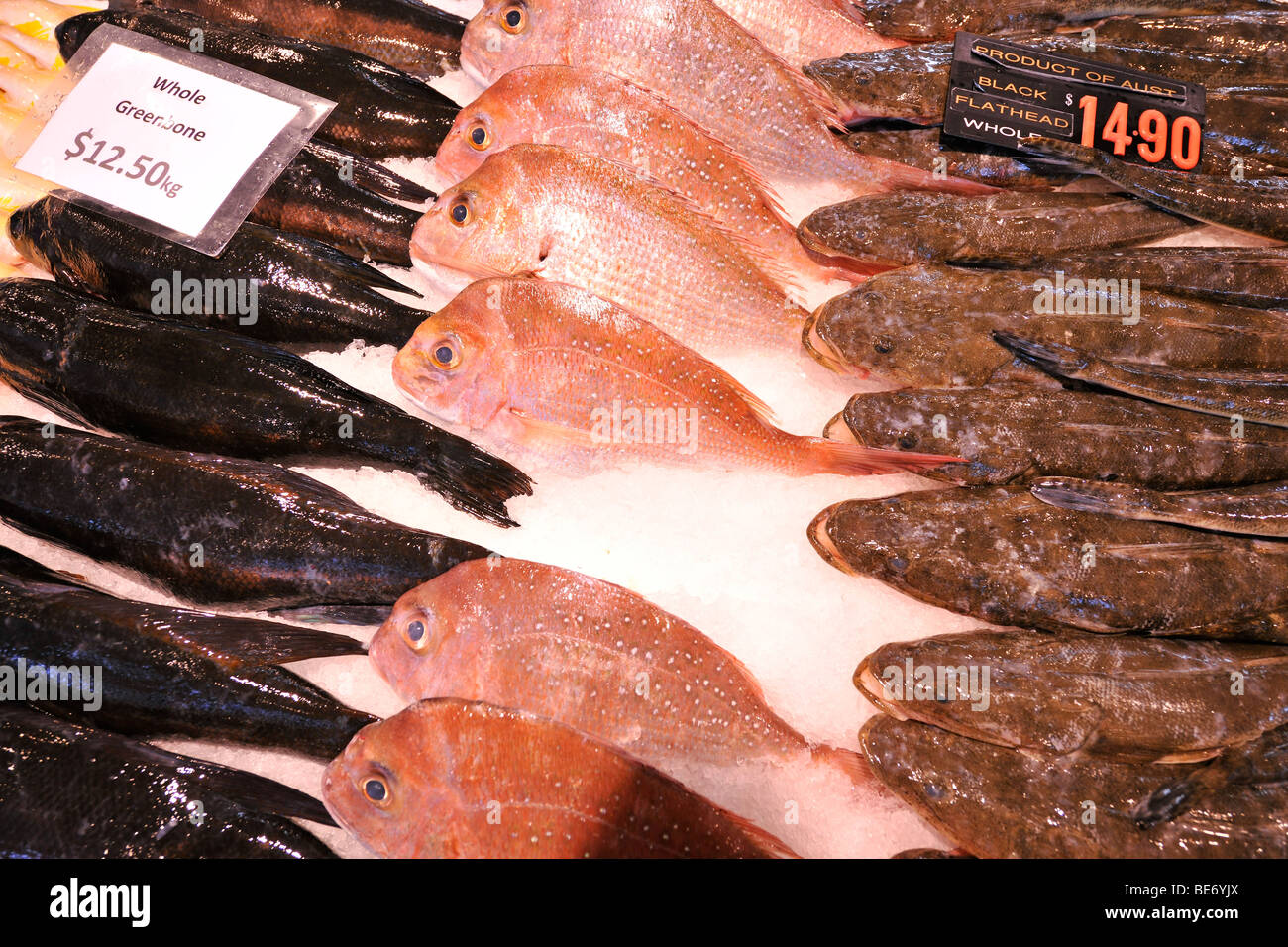 Australische Black Flathead, Snapper, New Zealand Greenbone oder ...
