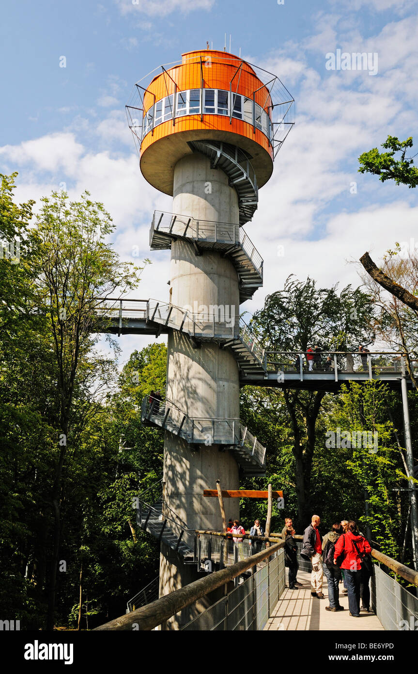 Baum-Turm mit Baumhaus auf der Baumkronenpfad-Tree Top Walk im ...