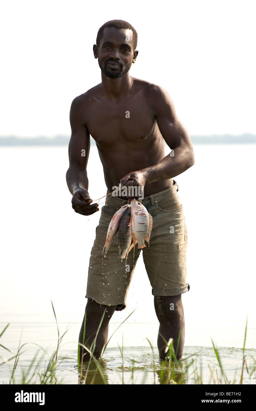 Ugandische Mann mit Tilapia Fisch am Kasenyi Dorf am Ufer des Lake ...