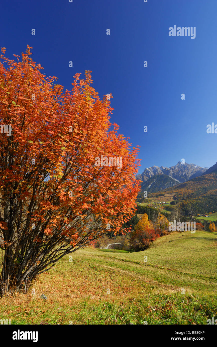Peak lischana -Fotos und -Bildmaterial in hoher Auflösung – Alamy