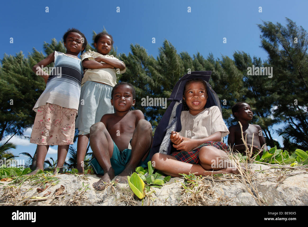 Wir die neugierigen -Fotos und -Bildmaterial in hoher Auflösung – Alamy