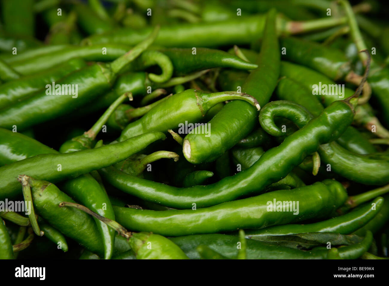 Chilis essen -Fotos und -Bildmaterial in hoher Auflösung – Alamy