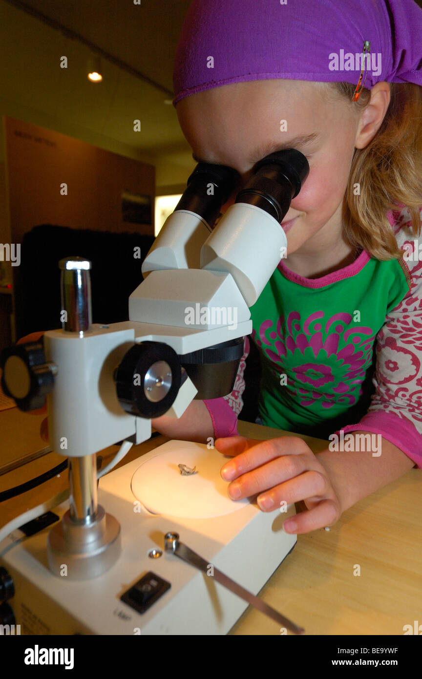 Kinderen Onderzoeken Uilenballen Onder de Microscoop; Kind untersucht ...