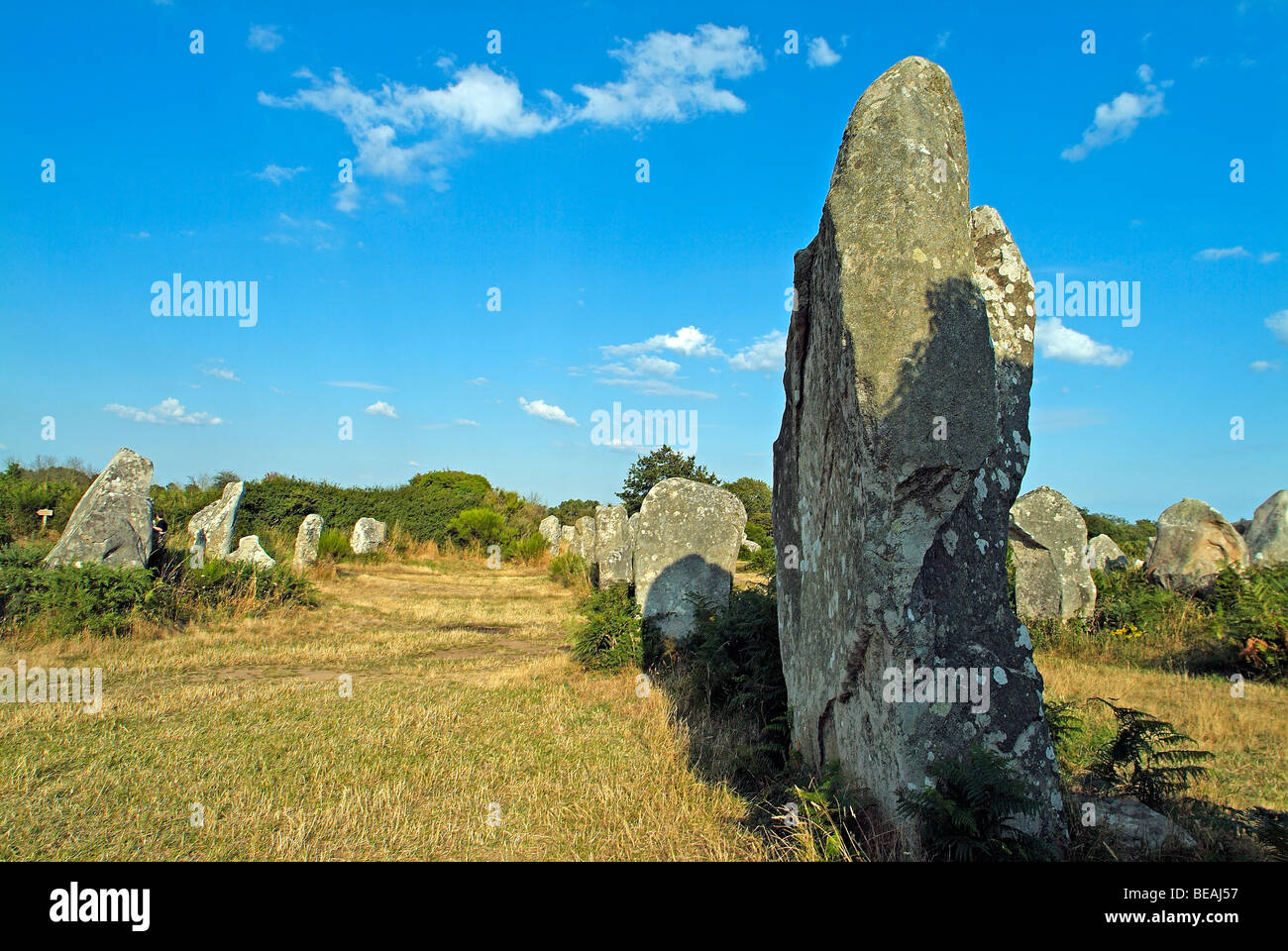 Megalithische ausrichtung von in morbihan im westen der bretagne -Fotos ...