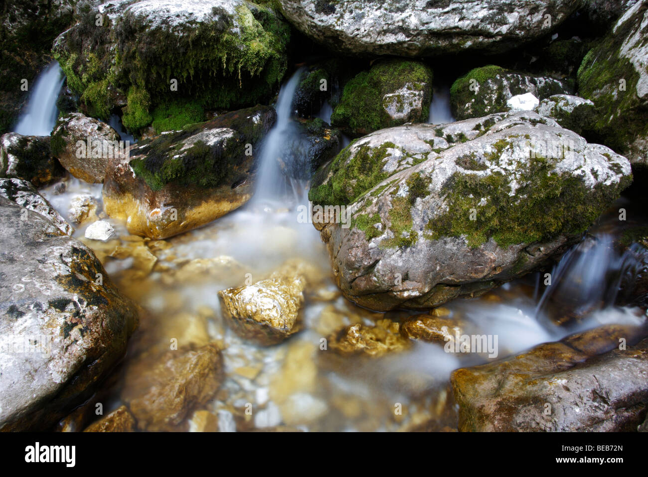 Bach bach quelle Stockfotos und -bilder Kaufen - Alamy