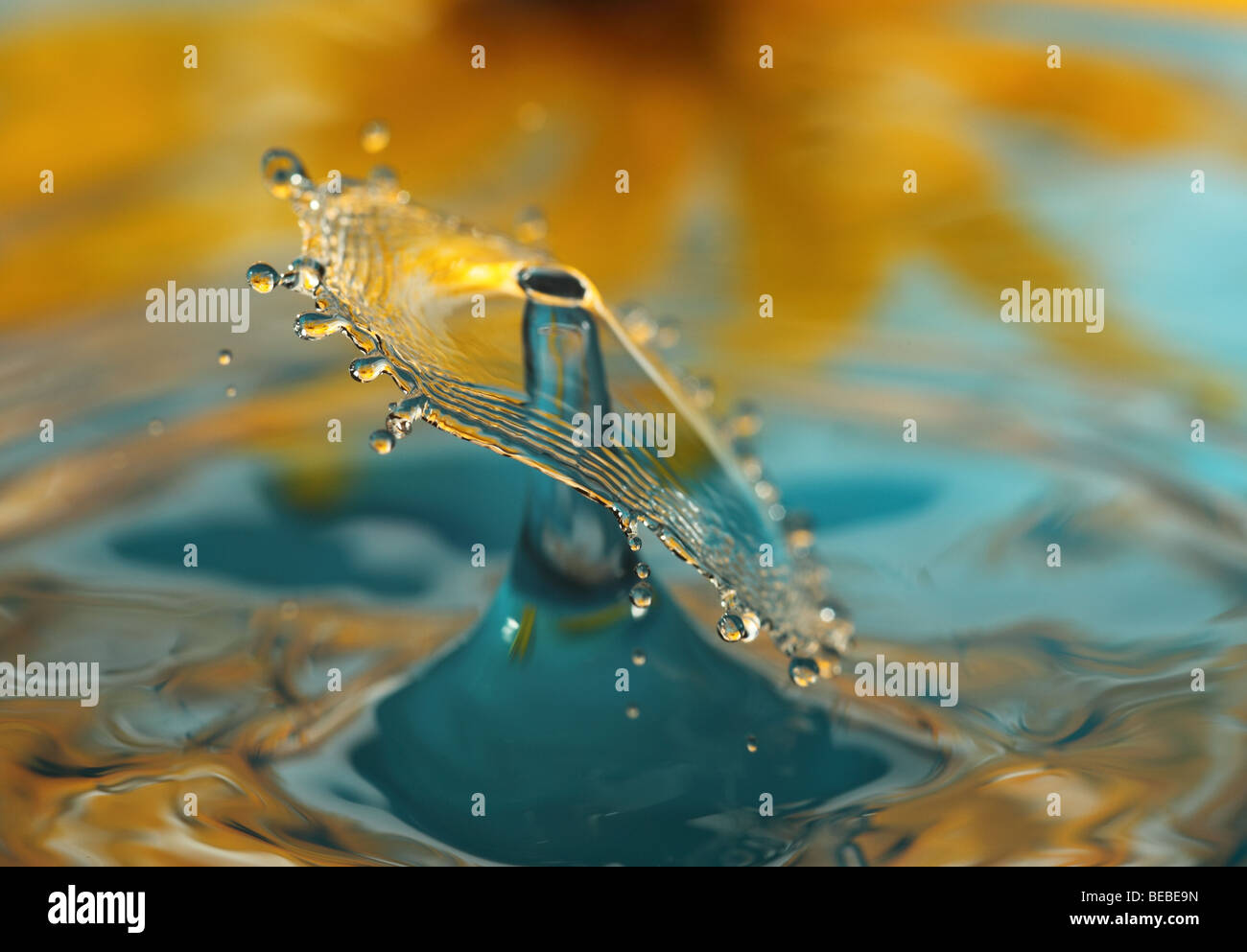 Tropfen tropft tropfend -Fotos und -Bildmaterial in hoher Auflösung – Alamy