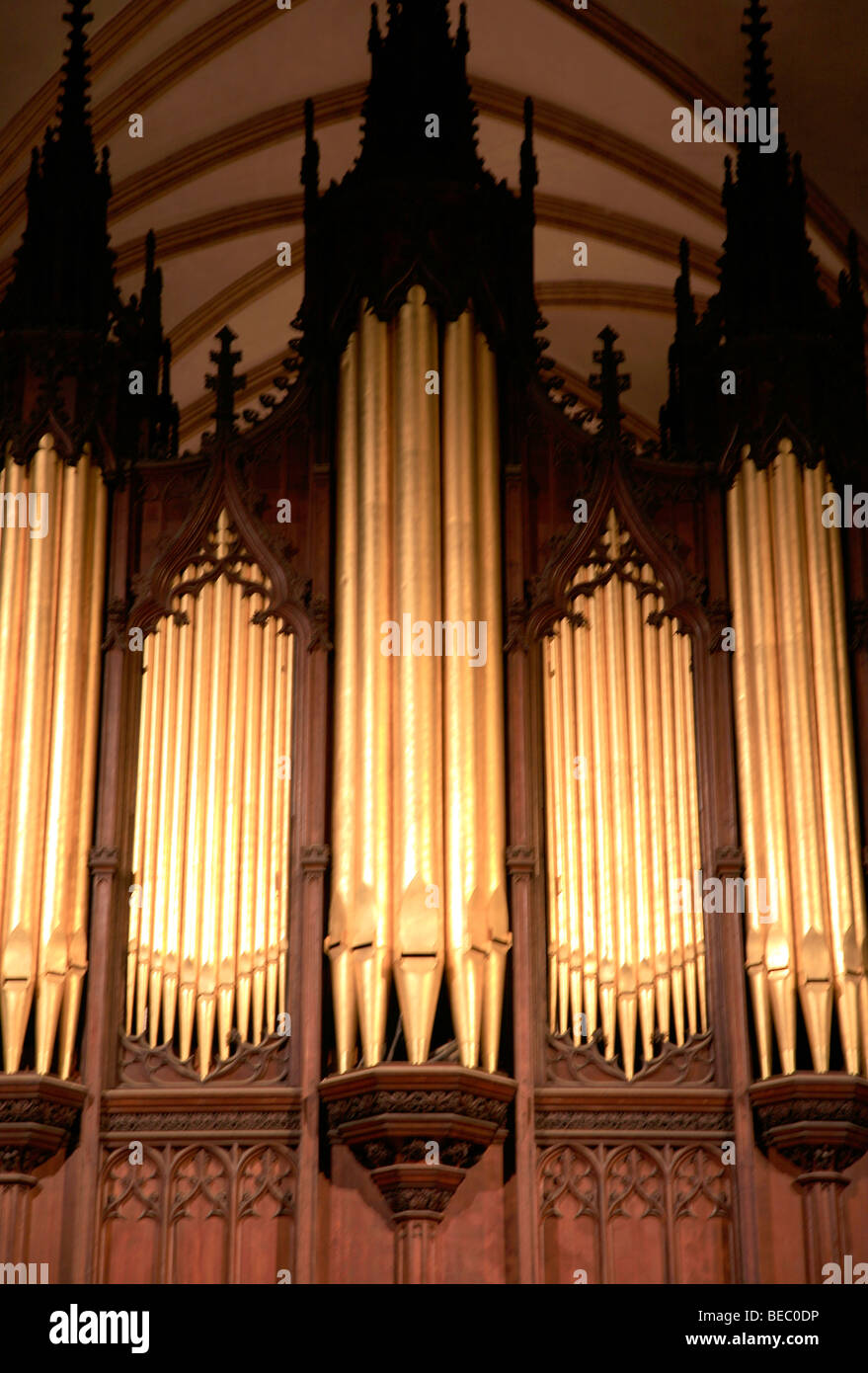 Musikalisches organ -Fotos und -Bildmaterial in hoher Auflösung – Alamy