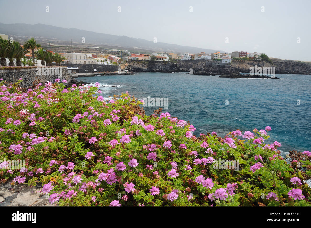 Costa adeje -Fotos und -Bildmaterial in hoher Auflösung – Alamy