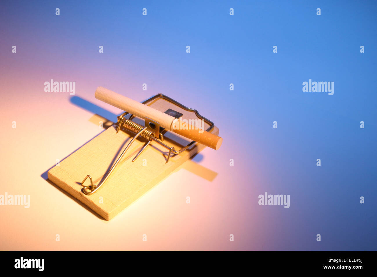 Fisch mit zigarette -Fotos und -Bildmaterial in hoher Auflösung – Alamy