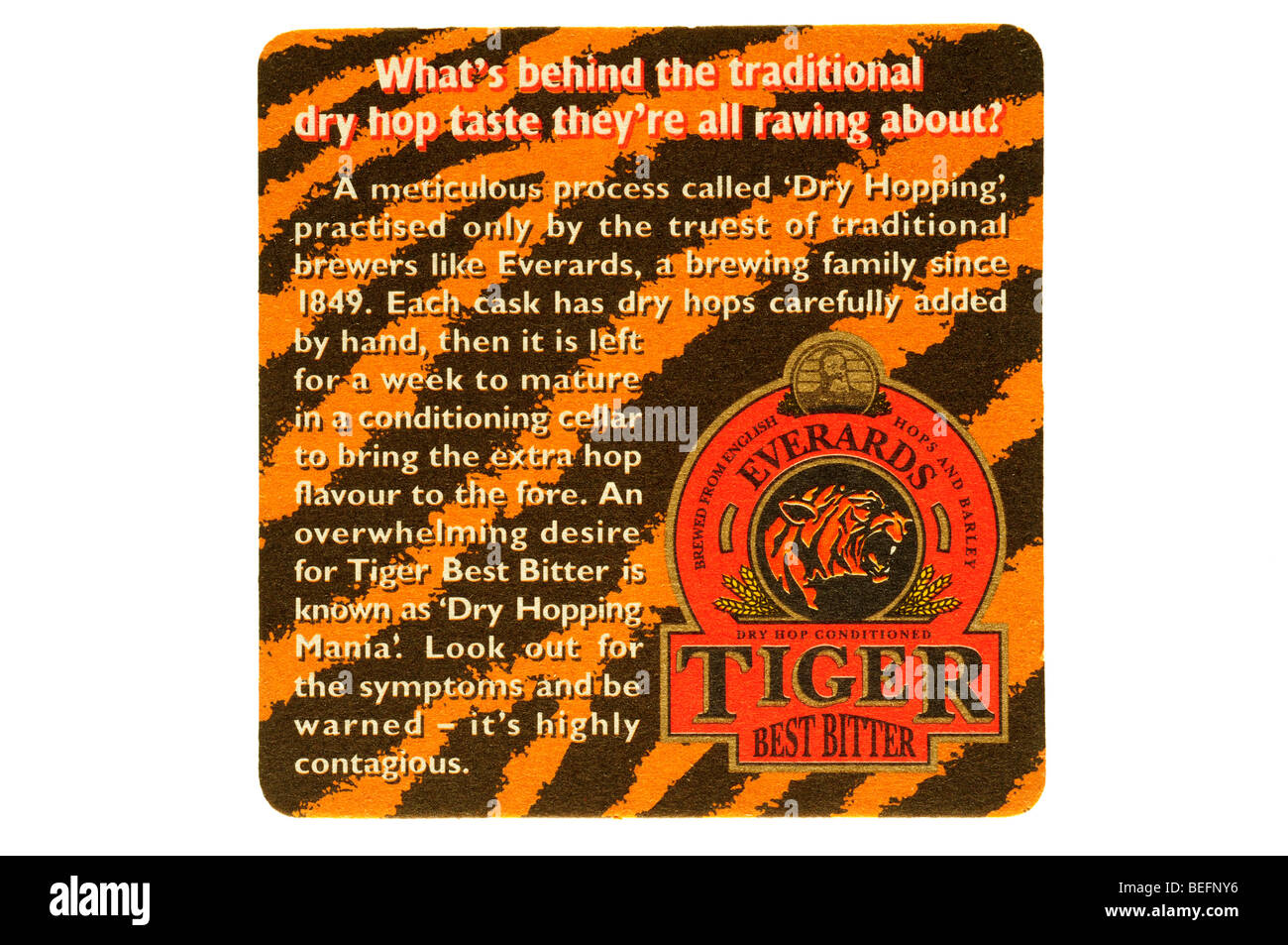 Tiger von seiner besten seite -Fotos und -Bildmaterial in hoher ...