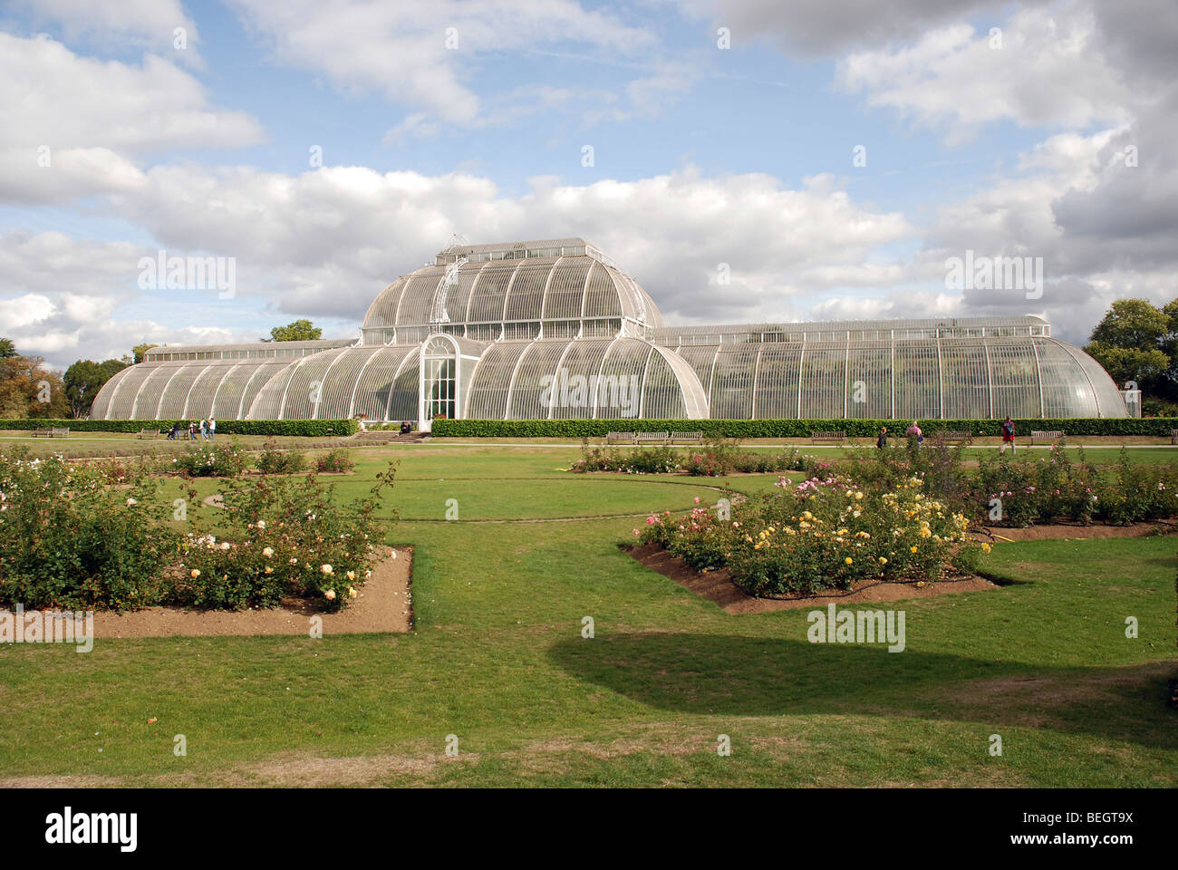 Palm house kew -Fotos und -Bildmaterial in hoher Auflösung – Alamy