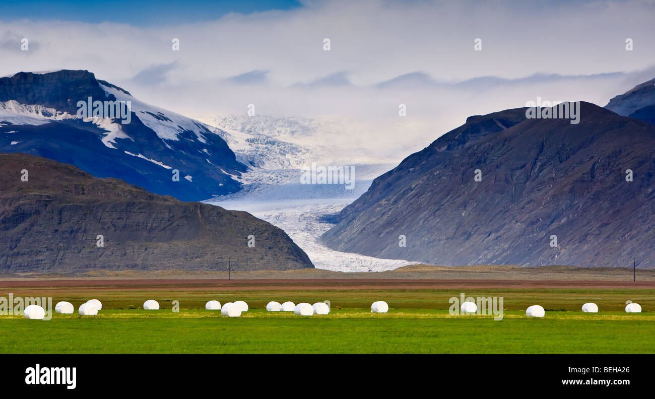 Hoefn -Fotos und -Bildmaterial in hoher Auflösung – Alamy