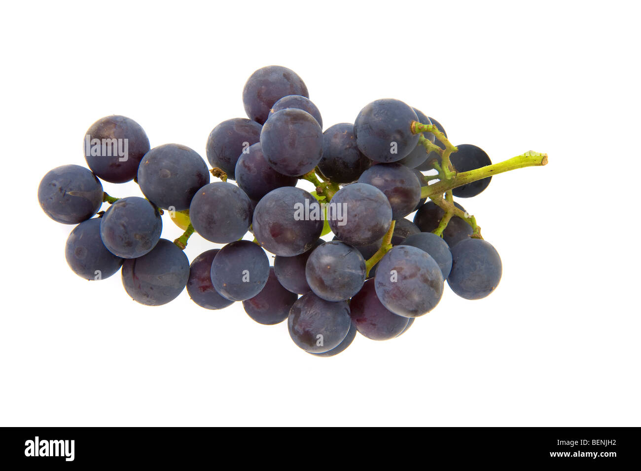 Berühren und schmecken Ausgeschnittene Stockfotos und -bilder - Alamy