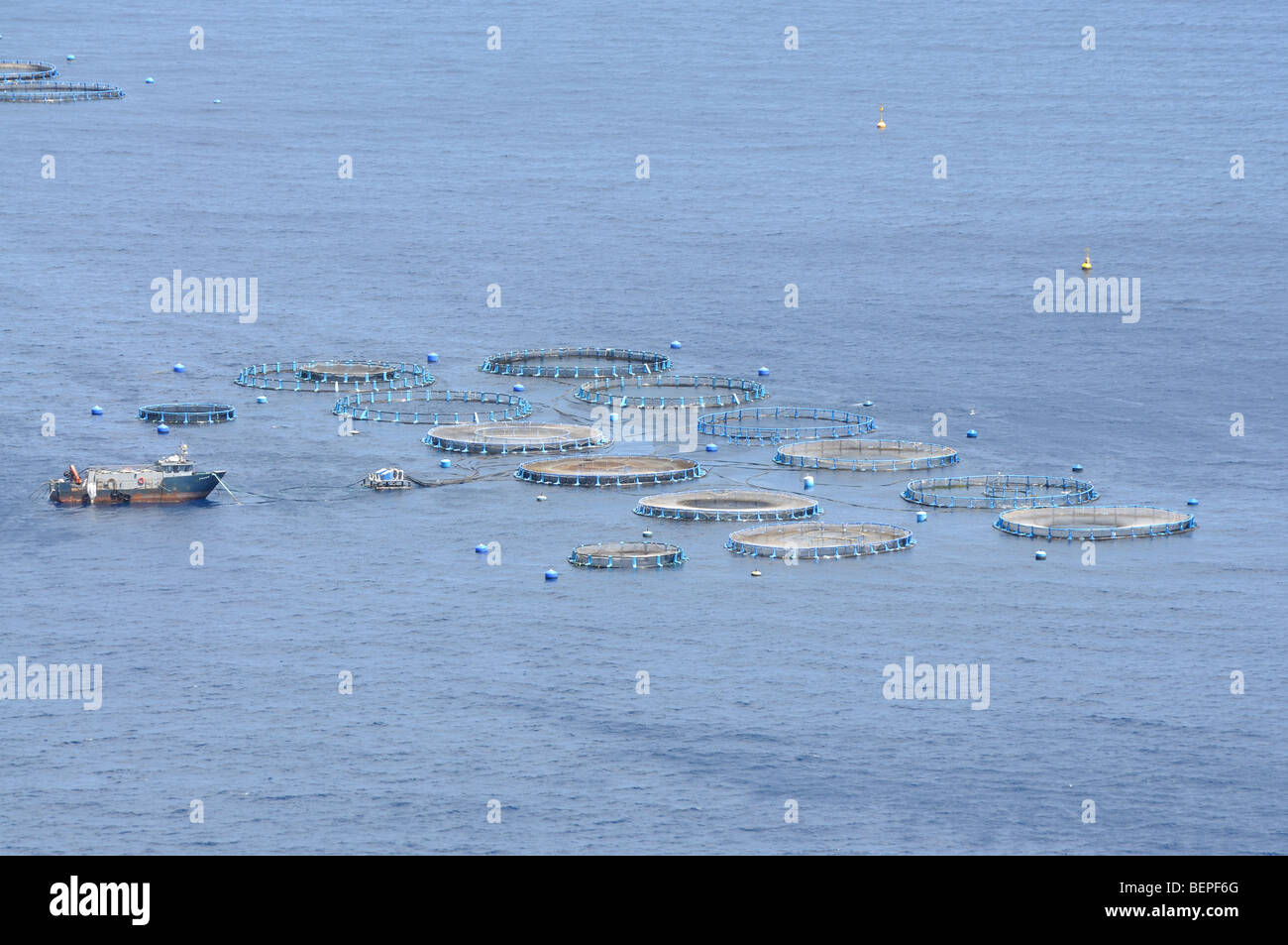 Fish farm spain -Fotos und -Bildmaterial in hoher Auflösung – Alamy