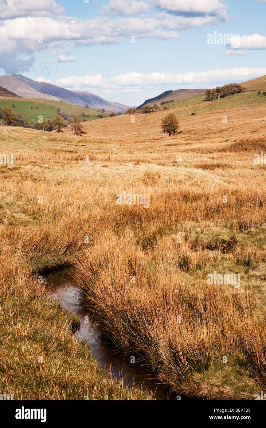 Newlands park -Fotos und -Bildmaterial in hoher Auflösung – Alamy