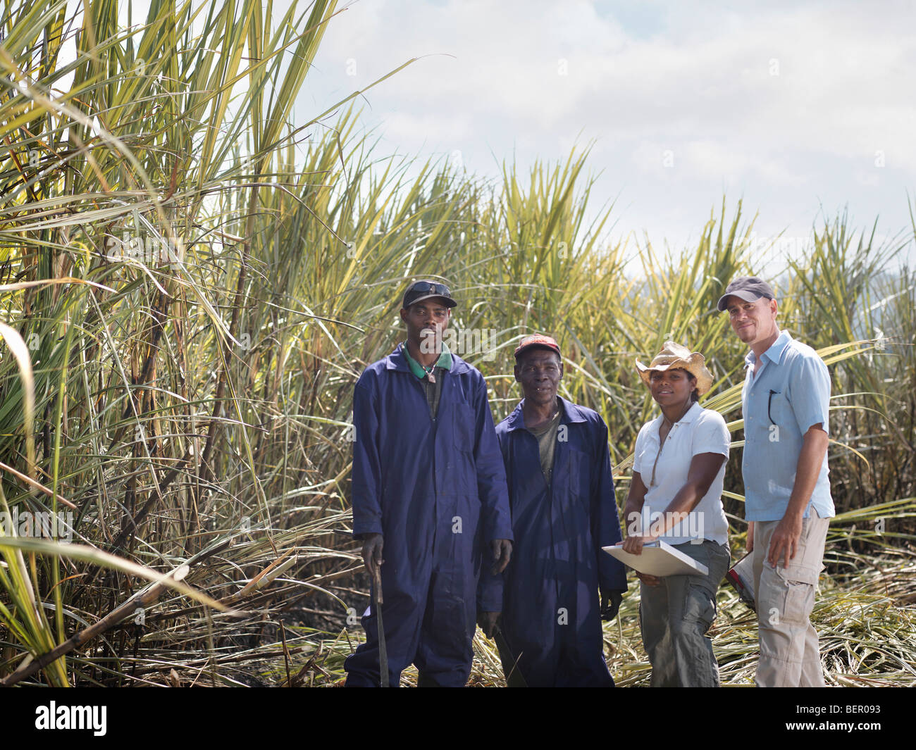 Sugarcane worker -Fotos und -Bildmaterial in hoher Auflösung - Seite 2 ...