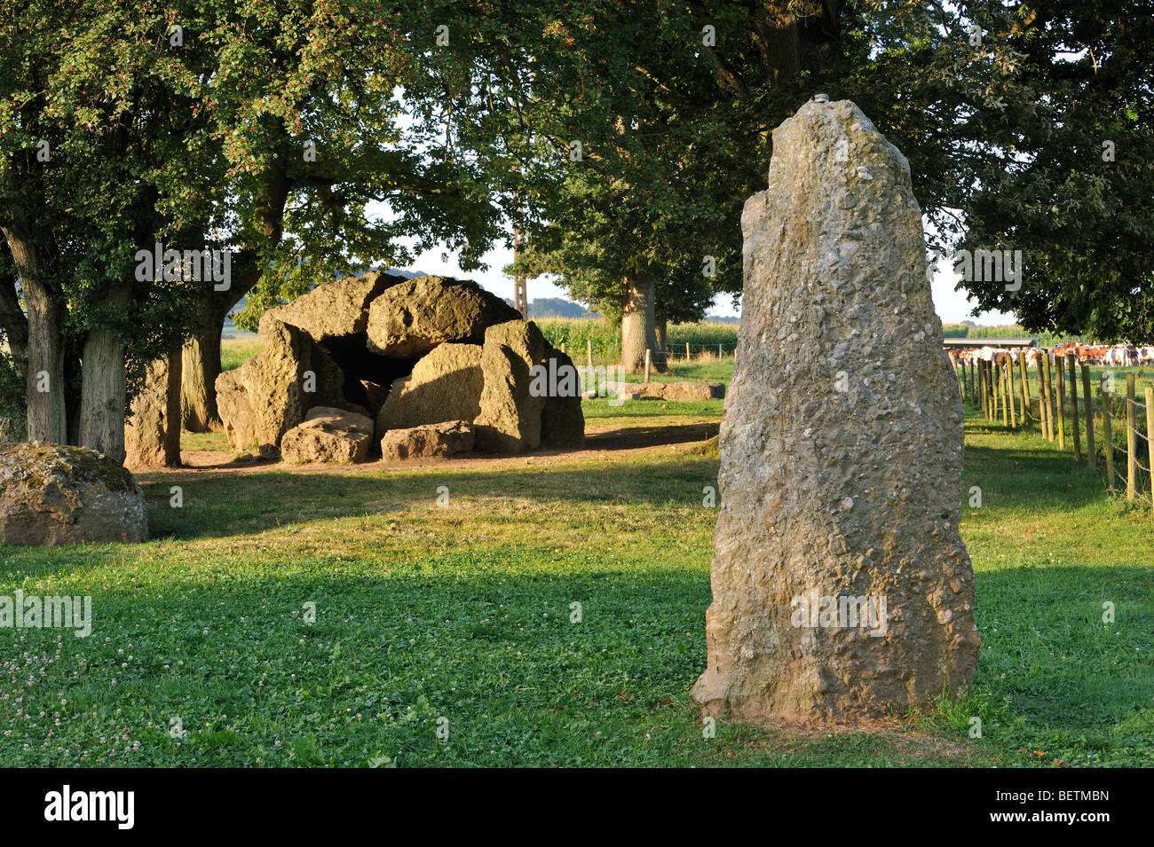 Megalith menhir -Fotos und -Bildmaterial in hoher Auflösung – Alamy