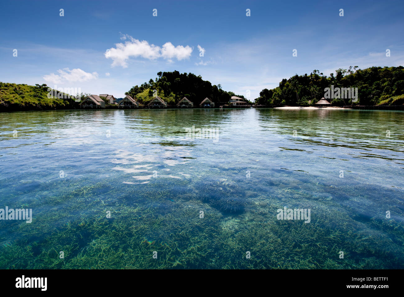 Misool insel -Fotos und -Bildmaterial in hoher Auflösung – Alamy