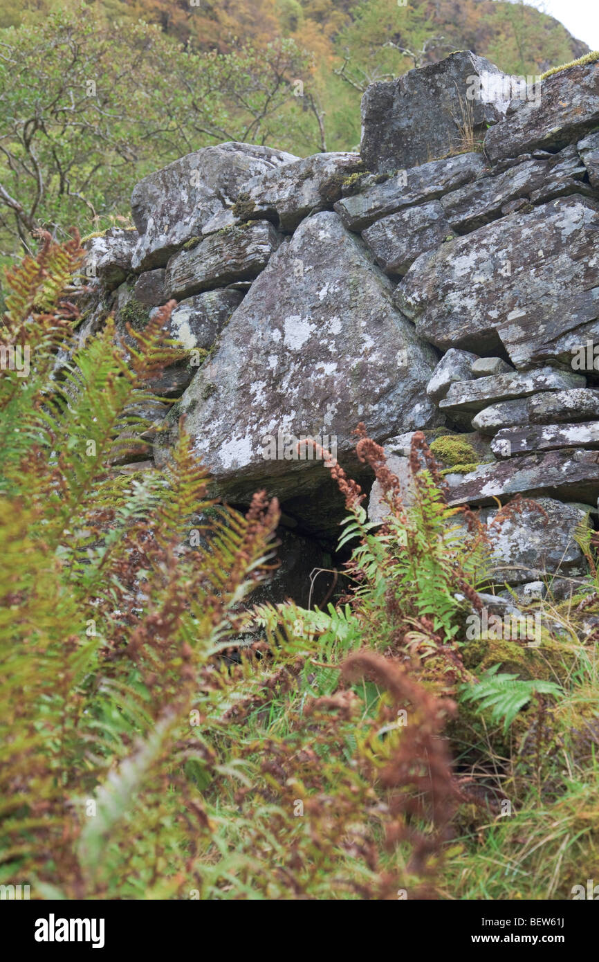 Caistel Grugaig Broch bei Totaig, Eingang Stockfotografie - Alamy