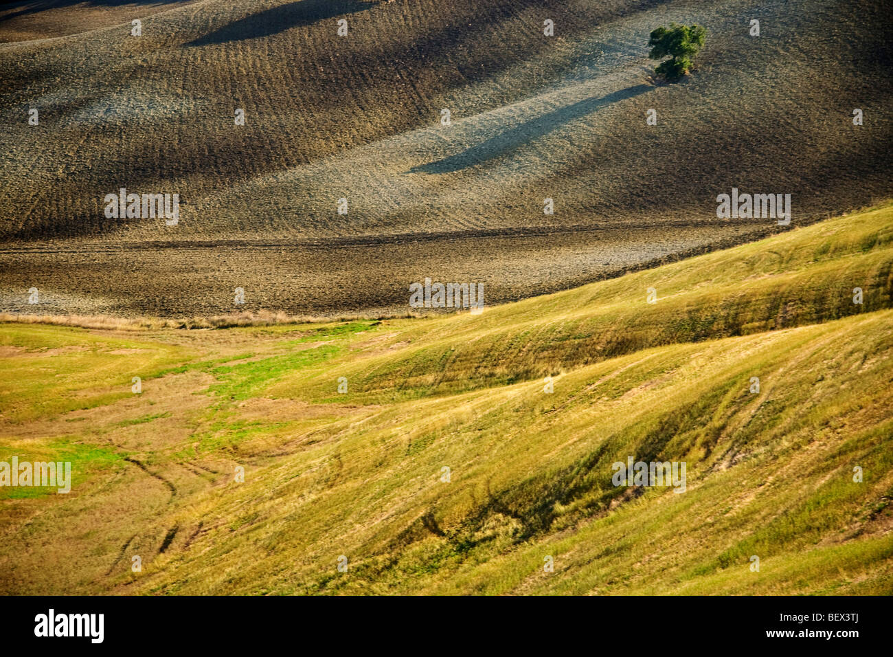 Ton rollen -Fotos und -Bildmaterial in hoher Auflösung – Alamy