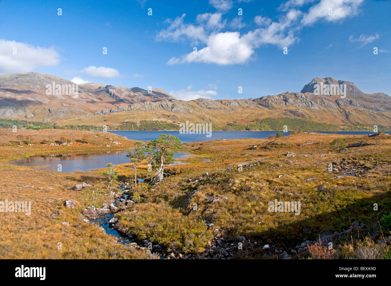 Beinn eighe und loch maree islands nationales naturschutzgebiet -Fotos ...