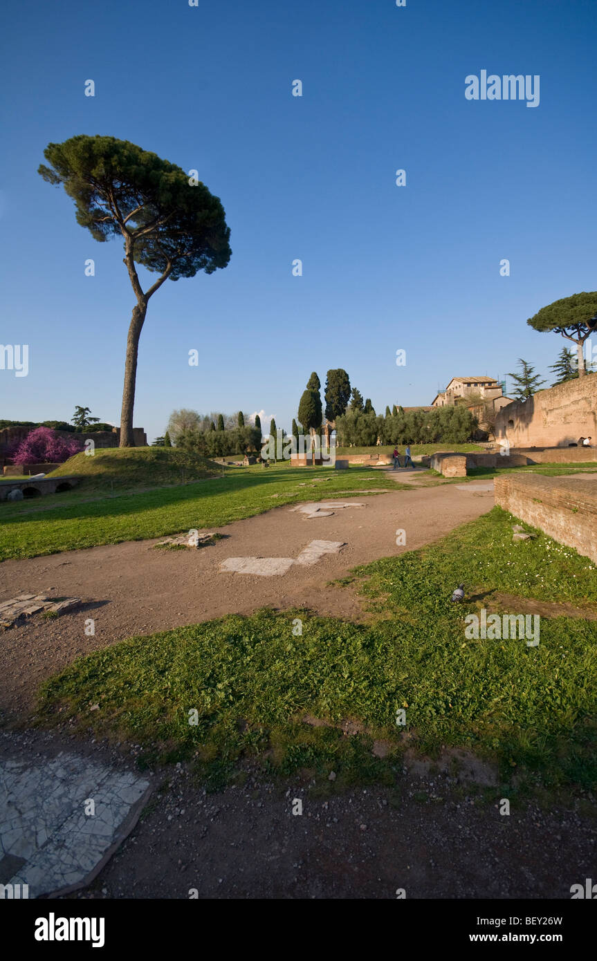 Palatine Hill Rome Stockfotos und -bilder Kaufen - Alamy