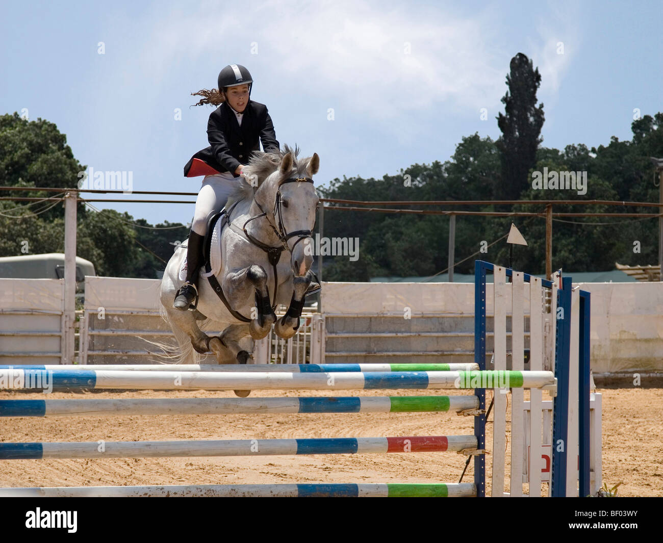 Springende pferde -Fotos und -Bildmaterial in hoher Auflösung – Alamy