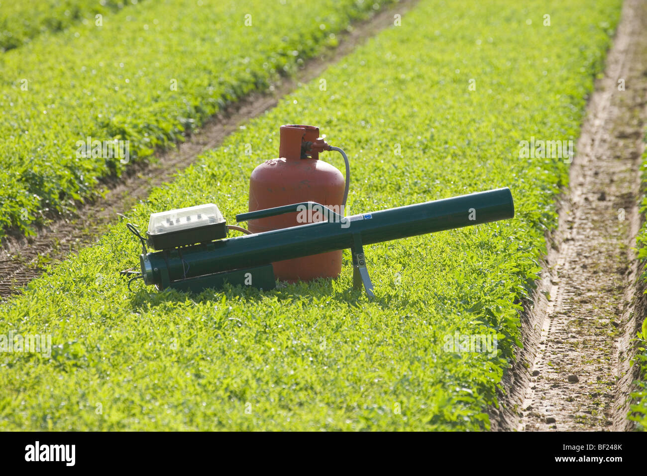 Gaspistole vogel scarer -Fotos und -Bildmaterial in hoher Auflösung – Alamy