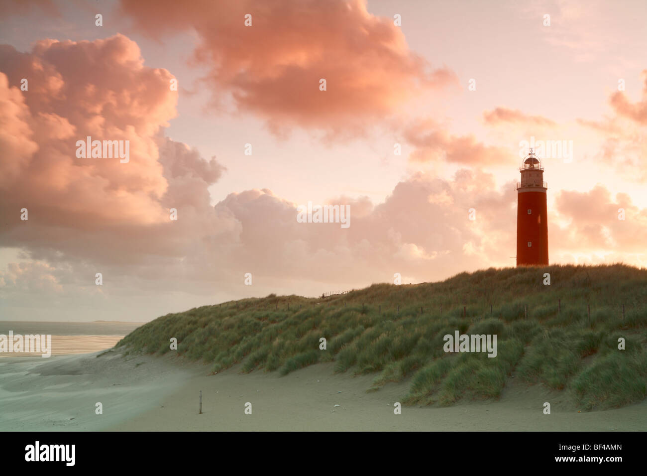Texel island -Fotos und -Bildmaterial in hoher Auflösung – Alamy