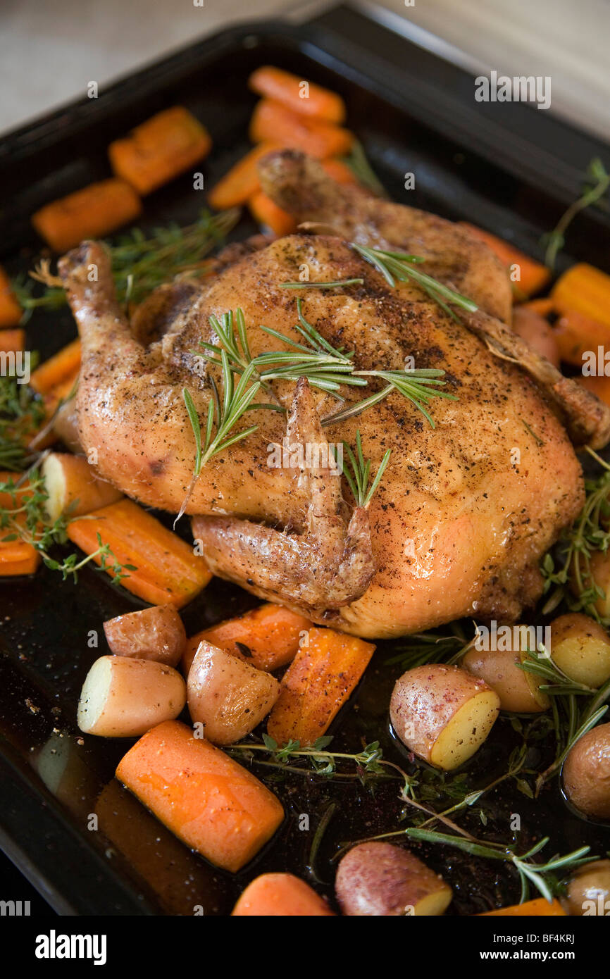 Hendl chicken -Fotos und -Bildmaterial in hoher Auflösung – Alamy